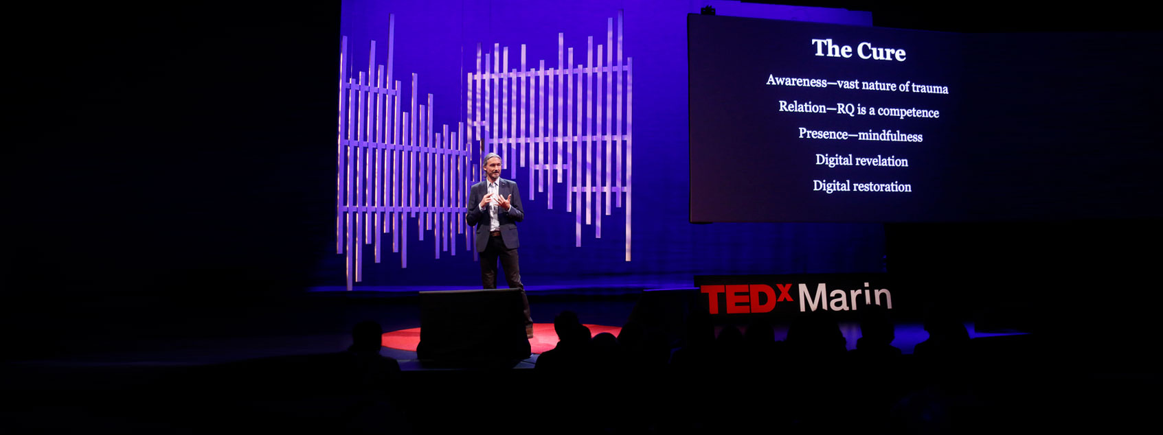 The Trauma of Technology - a TEDx talk by Thomas Hübl - Thomas Huebl