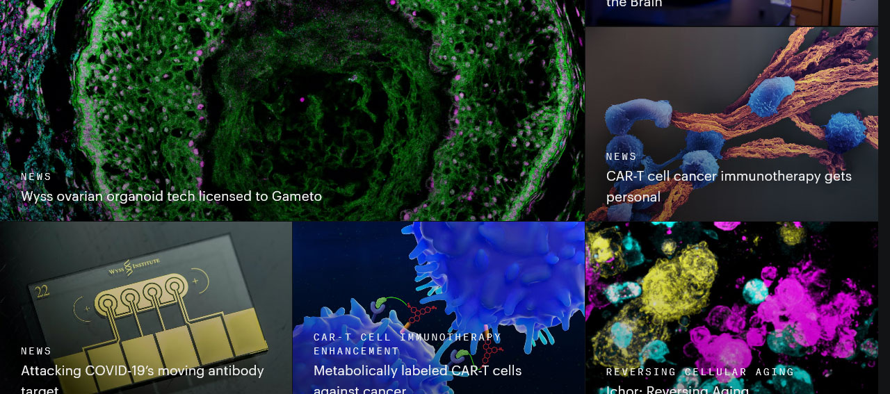 Besuch beim Wyss-Institut an der Harvard-Universität - Thomas Huebl